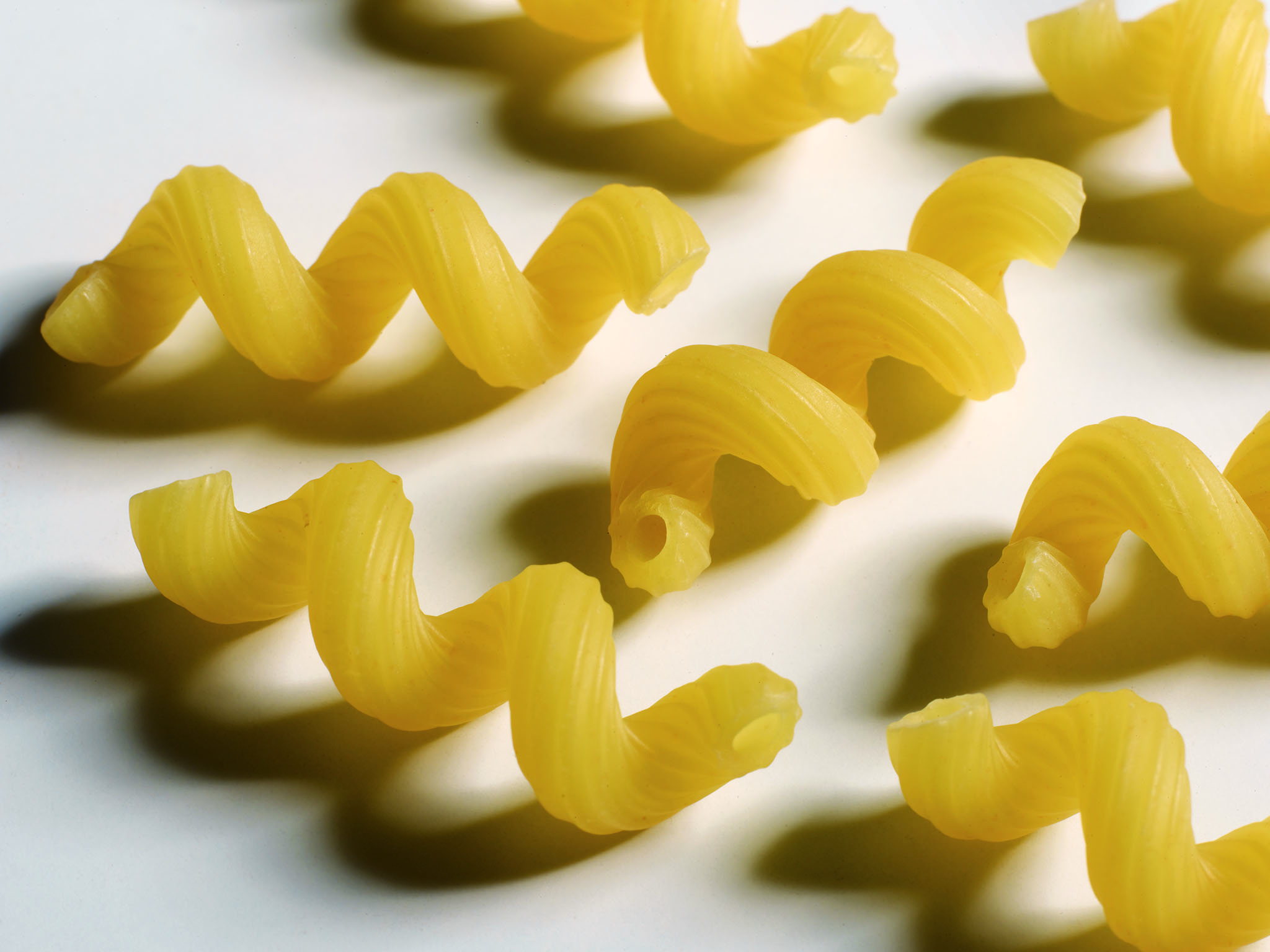 Pastaria Festival 2025: pasta secca e scienza, un dialogo tra ricerca e ...